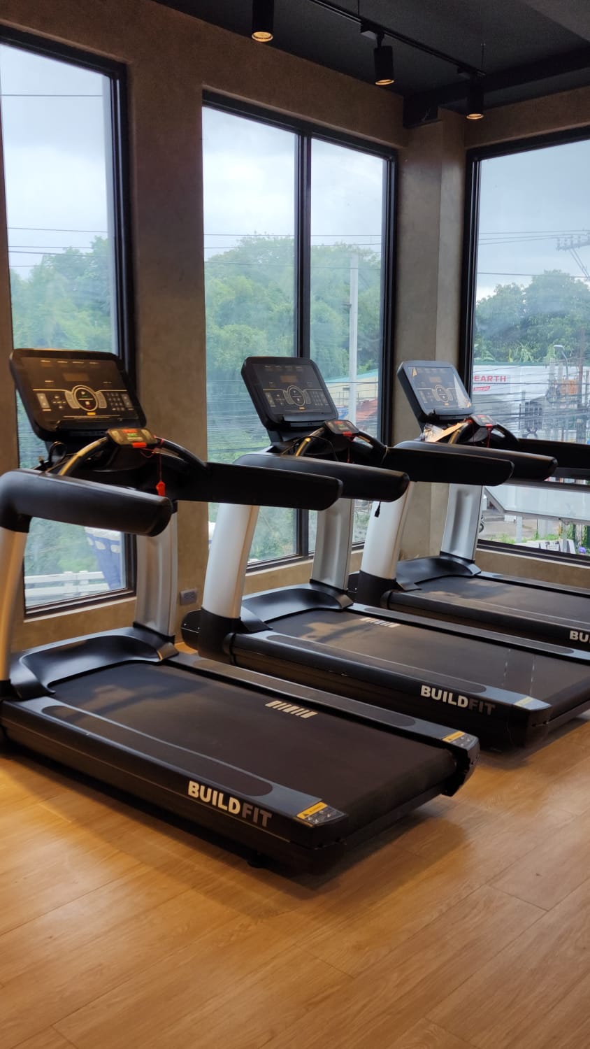 ONE FTINESS HORIZON || GyMS