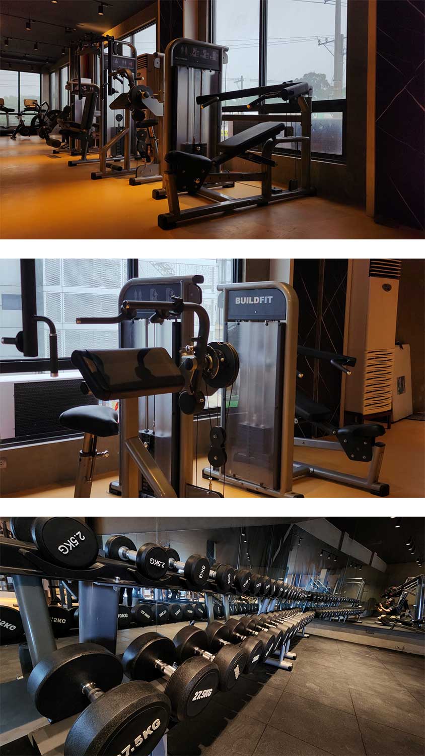 ONE FTINESS HORIZON || GyMS